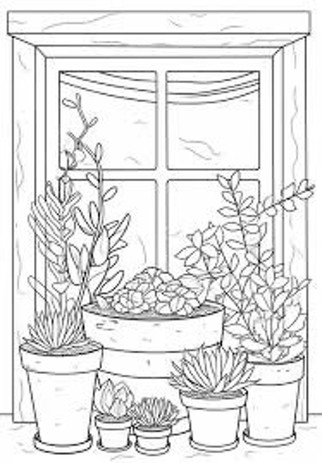 House Plants Coloring Pages - Etsy