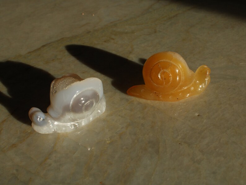 Crystal Snails, Crystal Snail, Orange, Purple, Animal Decoration,animal ...