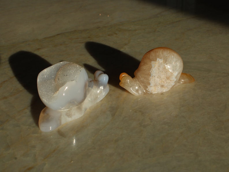 Crystal Snails, Crystal Snail, Orange, Purple, Animal Decoration,animal ...