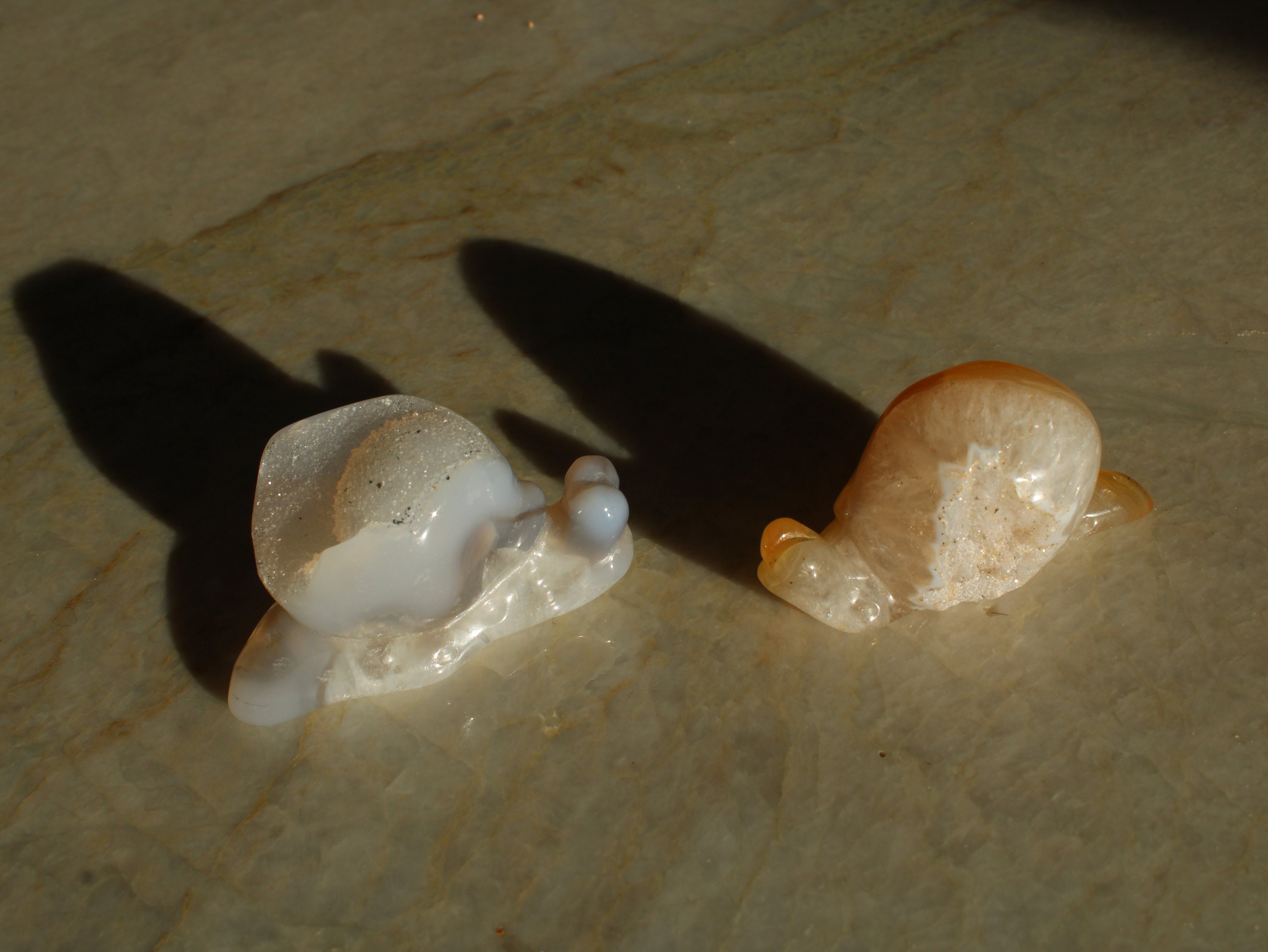 Crystal Snails, Crystal Snail, Orange, Purple, Animal Decoration,animal ...