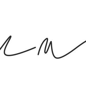 Elon Musk Autograph Decal Available in Various Sizes and Colors Elon ...