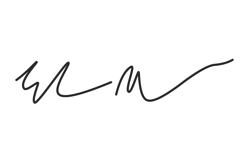 Elon Musk Autograph Decal Available in Various Sizes and Colors Elon ...