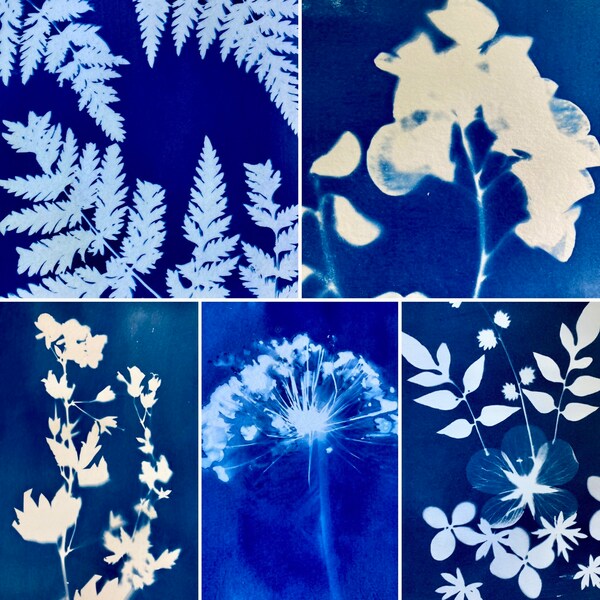 Cyanotype - Etsy UK