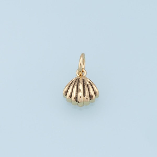 Shell Charms - Etsy