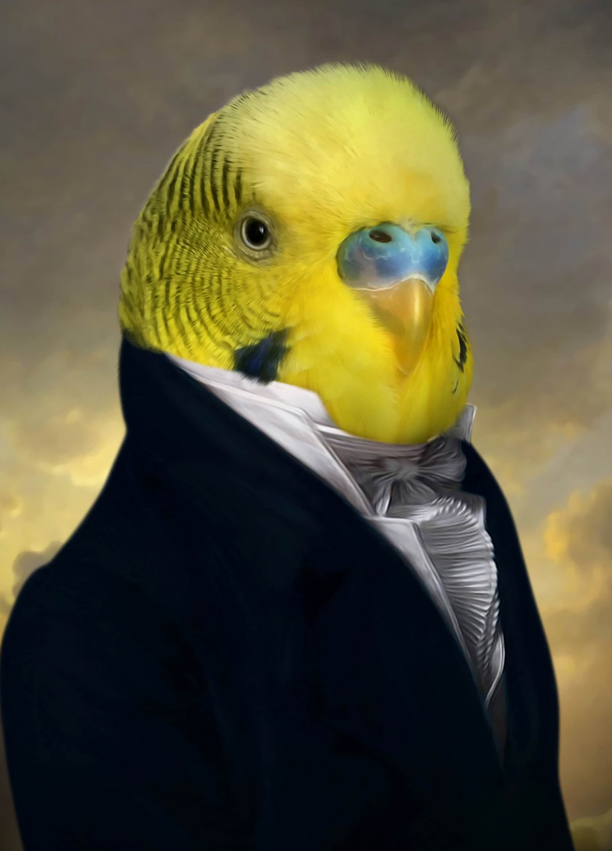 Custom Pet Portraitspet Portraitsfancy Custome Bird | Etsy