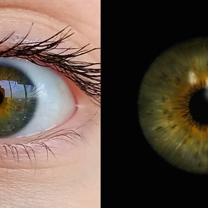 Custom Eye Canvas, Your Eyes Wallart, Digital Illustrated Eyes, Eyes ...