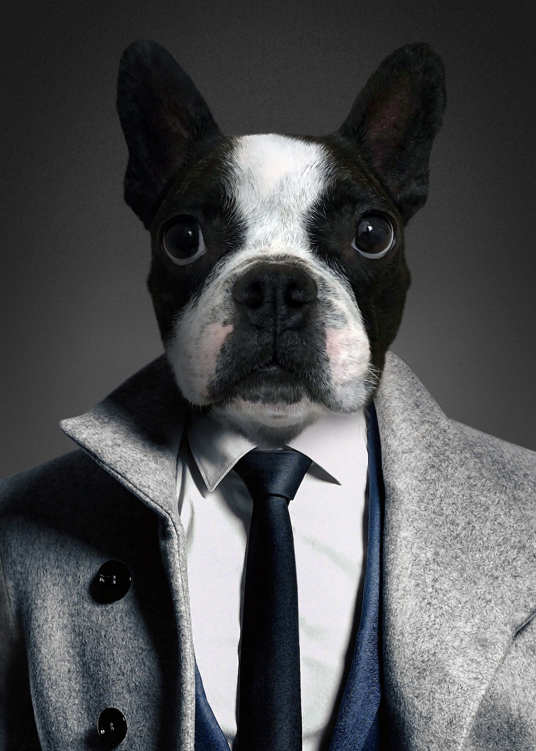 Custom Pet Portraits,pet Portraits,fancy Custome Dog Potrait,dog in ...