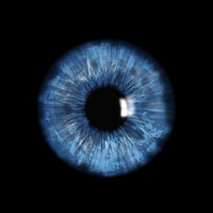 Custom Eye Canvas, Your Eyes Wallart, Digital Illustrated Eyes, Eyes ...