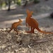 Rustic Steel Kangaroo Family | Outdoor Garden Decoration | Australian ...