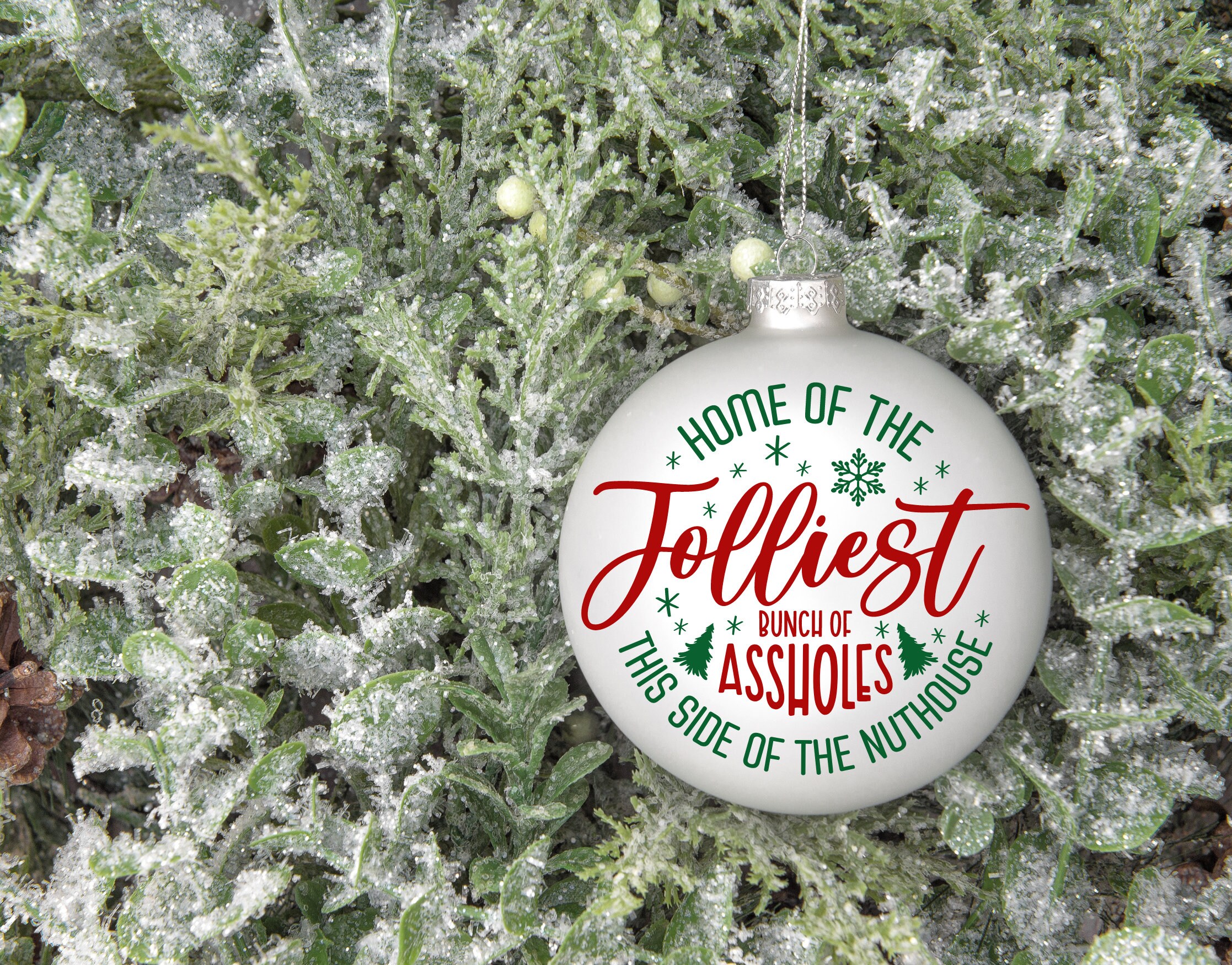 Home of the Jolliest Bunch Svg, This Side of the Nuthouse, Merry ...