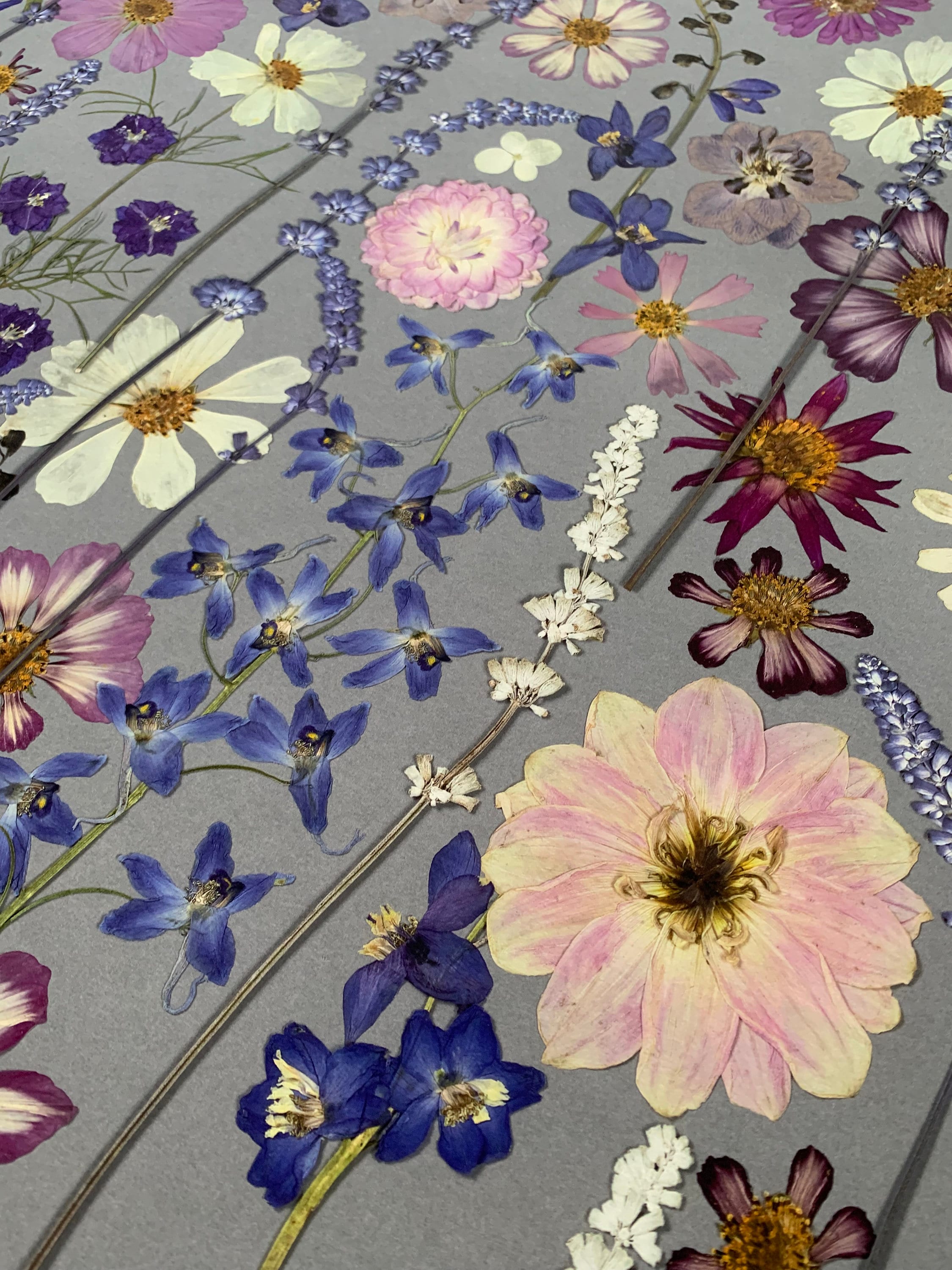Print Pressed Flower Art “dreaming of Summer”, Unframed Pressed Flower ...
