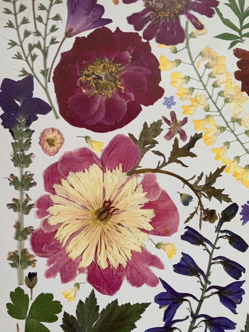 Print “summer in Frame”, Dried Flowers Print, Pressed Flowers Print ...