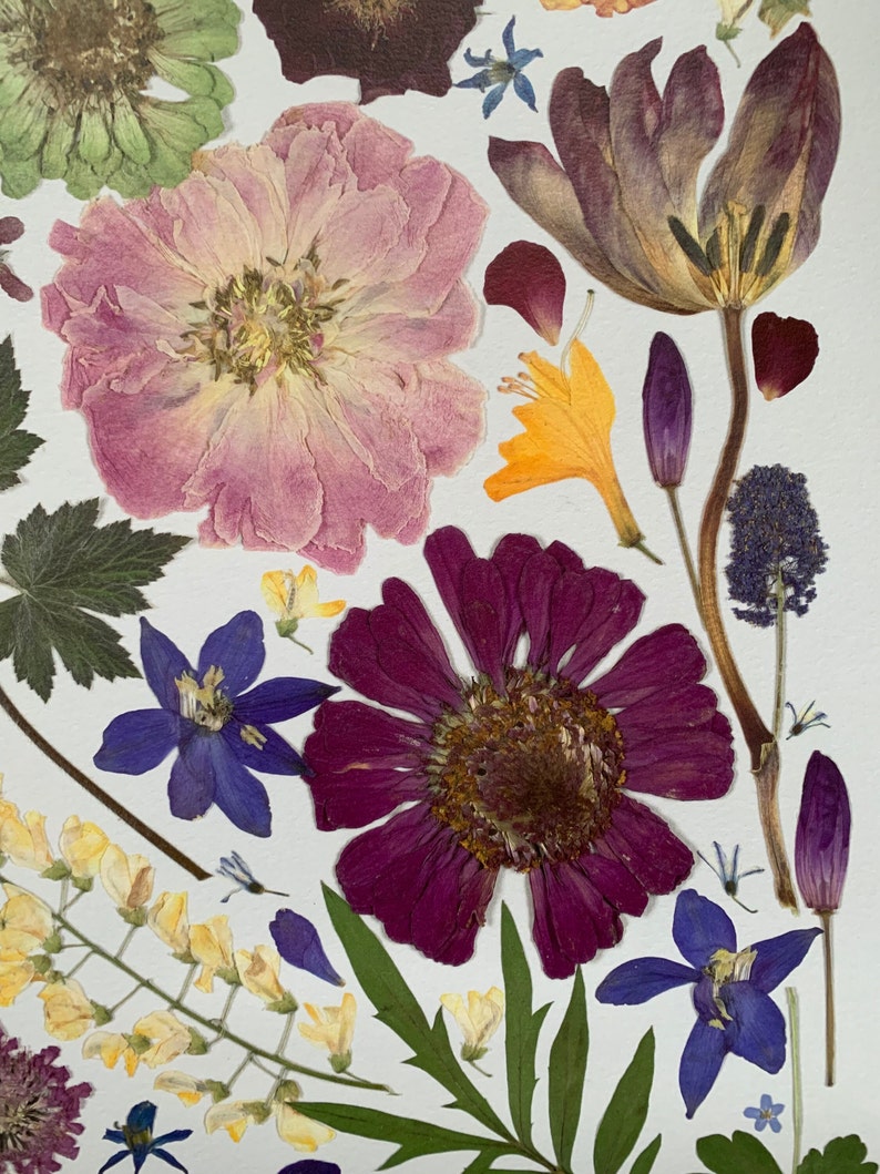 Print “summer in Frame”, Dried Flowers Print, Pressed Flowers Print ...