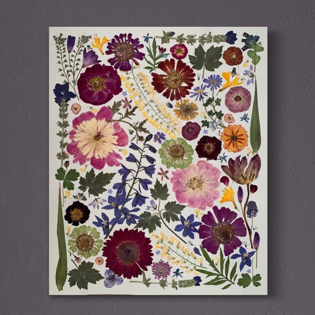 Print “summer in Frame”, Dried Flowers Print, Pressed Flowers Print ...