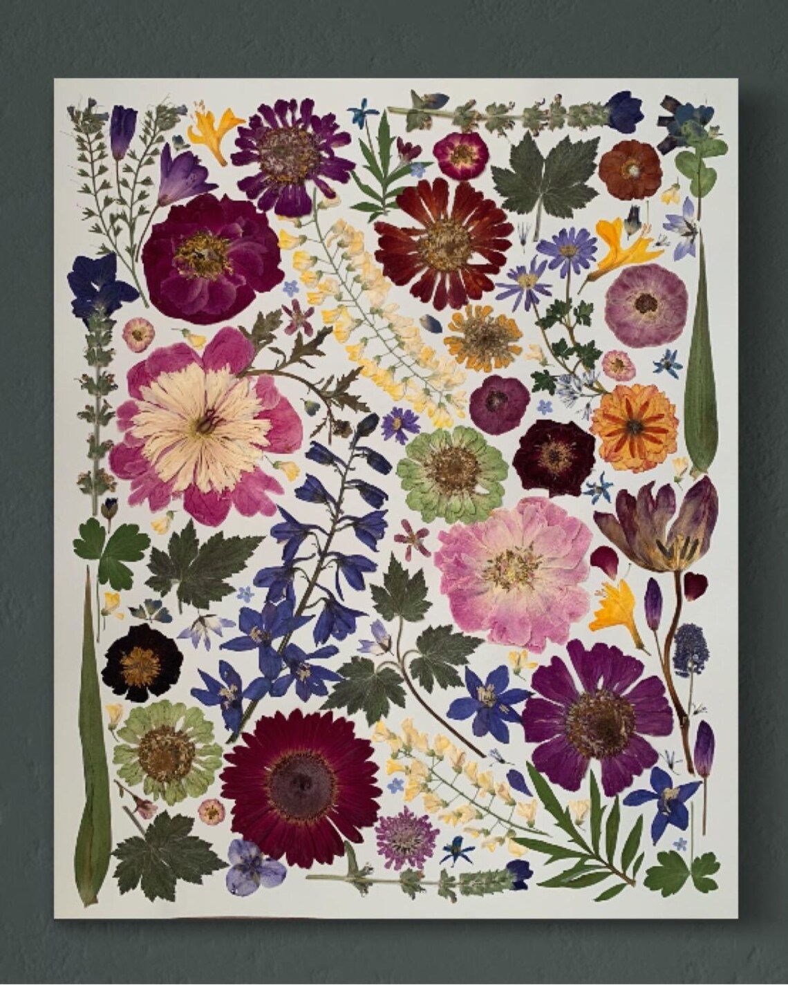 Print “summer in Frame”, Dried Flowers Print, Pressed Flowers Print ...