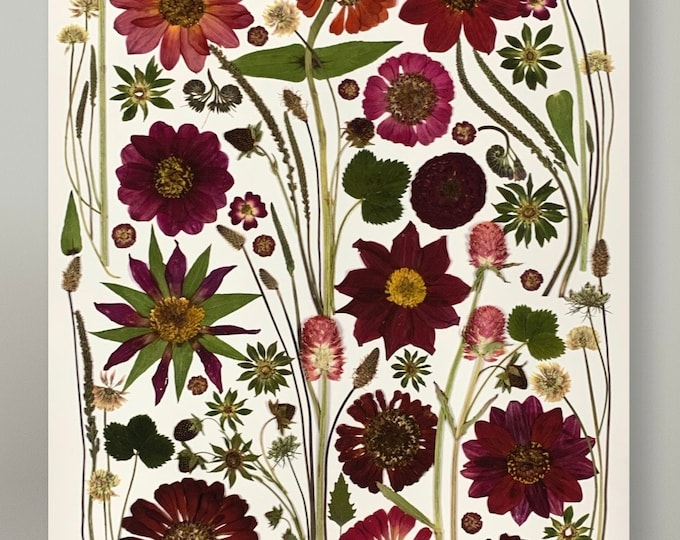 Pressed Flower Art Print A3 Size, Botanical Artwork Print, Pressed ...