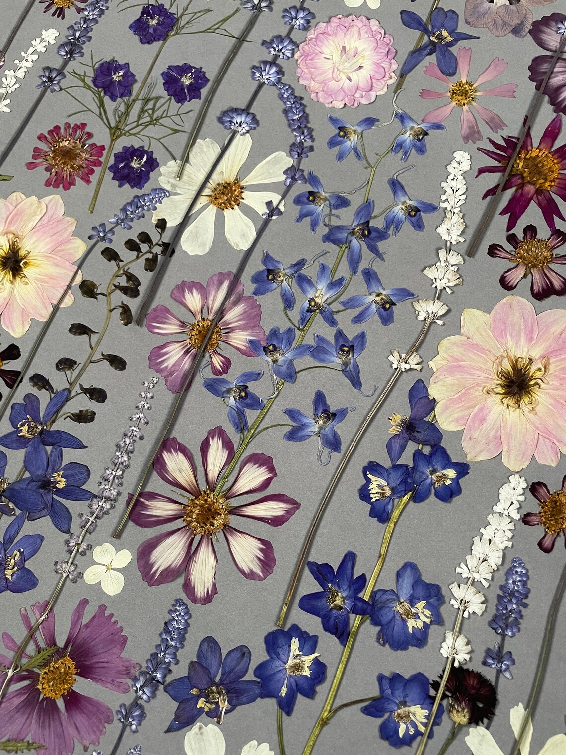 Print Pressed Flower Art dreaming of Summer, Unframed Pressed Flower ...