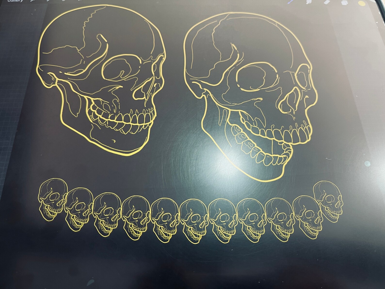 20x Procreate Brush SKULL Set - Skull Drawing References - Made for ...