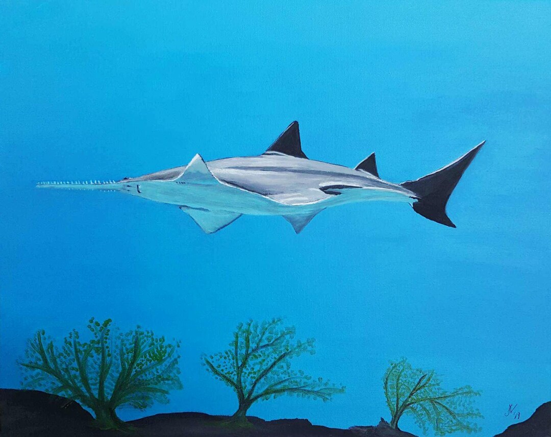 Sawfish Swimming" COPY of My Original Painting - Etsy