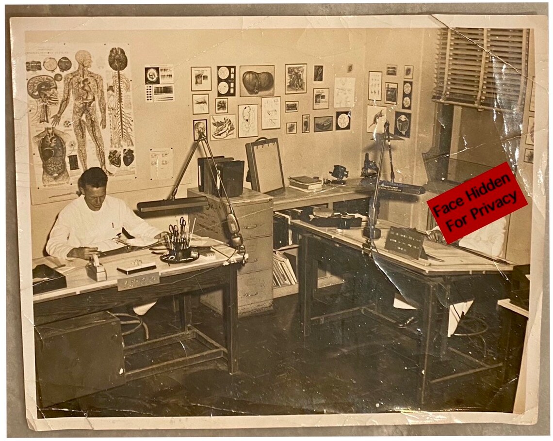 Slides of Drawings of JFK Autopsy Photos Used in Warren Commission ...