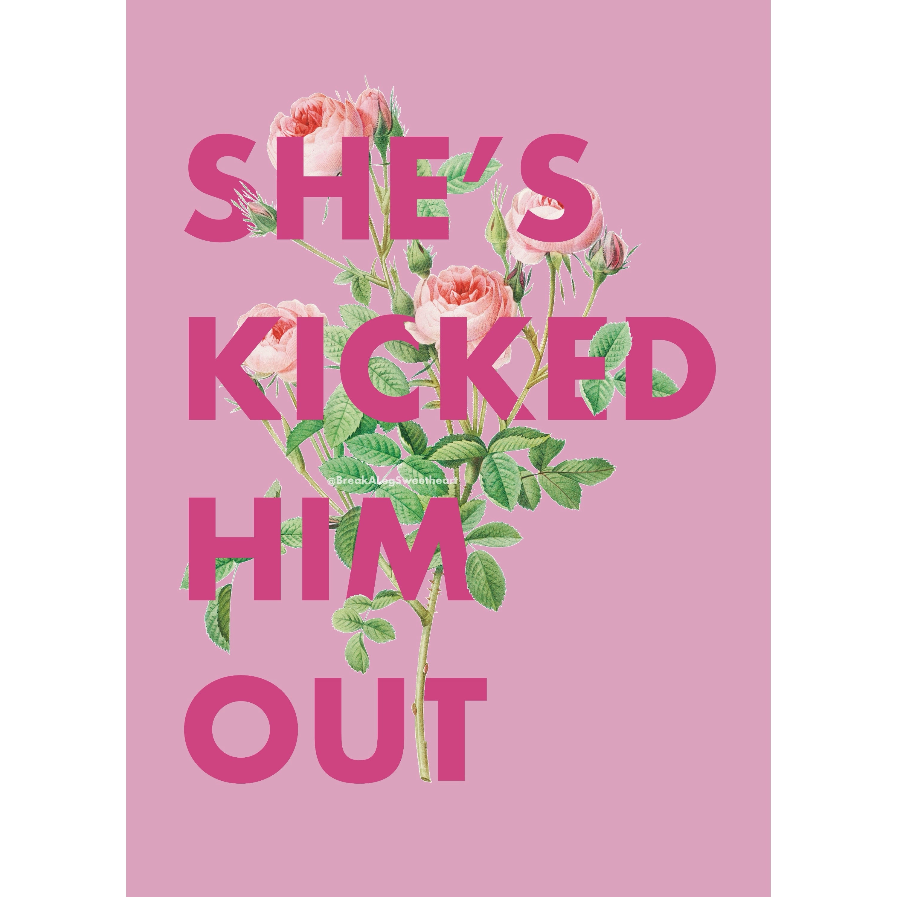 Handforth Parish Council Commemorative 6 Postcard Bundle, Jackie Weaver ...