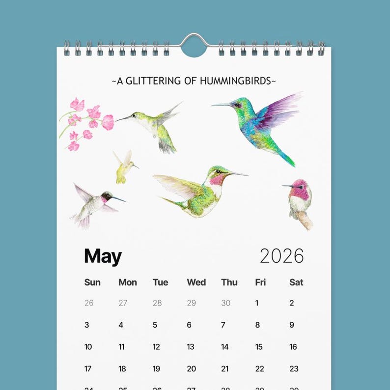 2026 Bird Wall Calendar: Watercolor Songbirds - Etsy