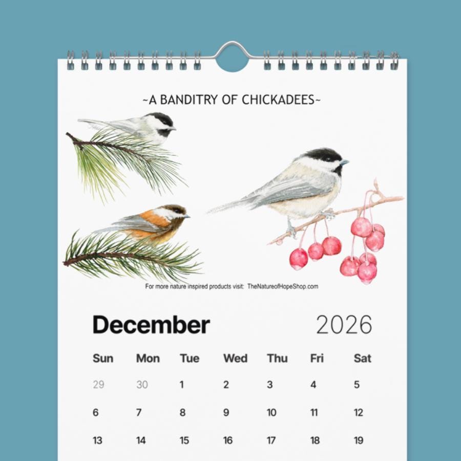 2026 Bird Wall Calendar: Watercolor Songbirds - Etsy