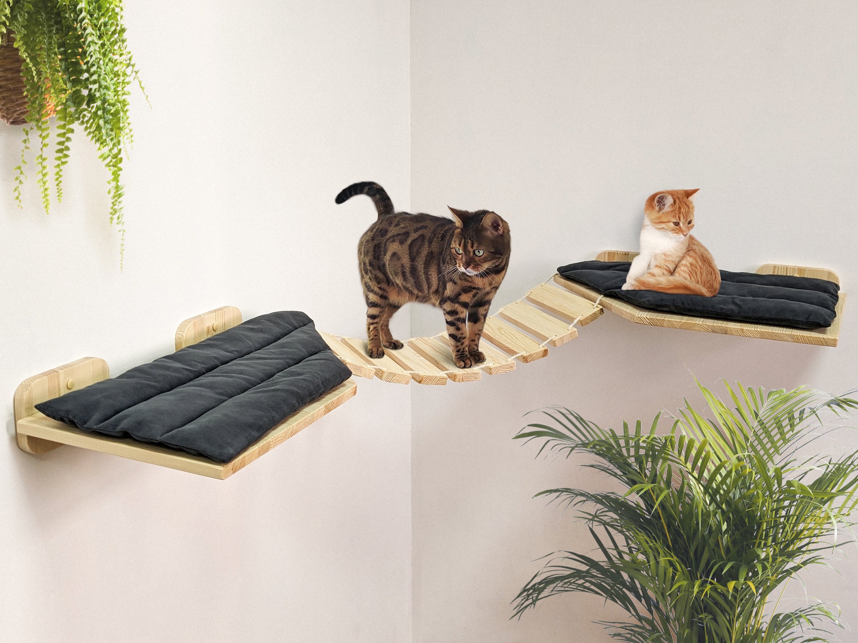 Corner Bridge-shelf for Big Cats, Perfect for Playing and Sleeping on ...