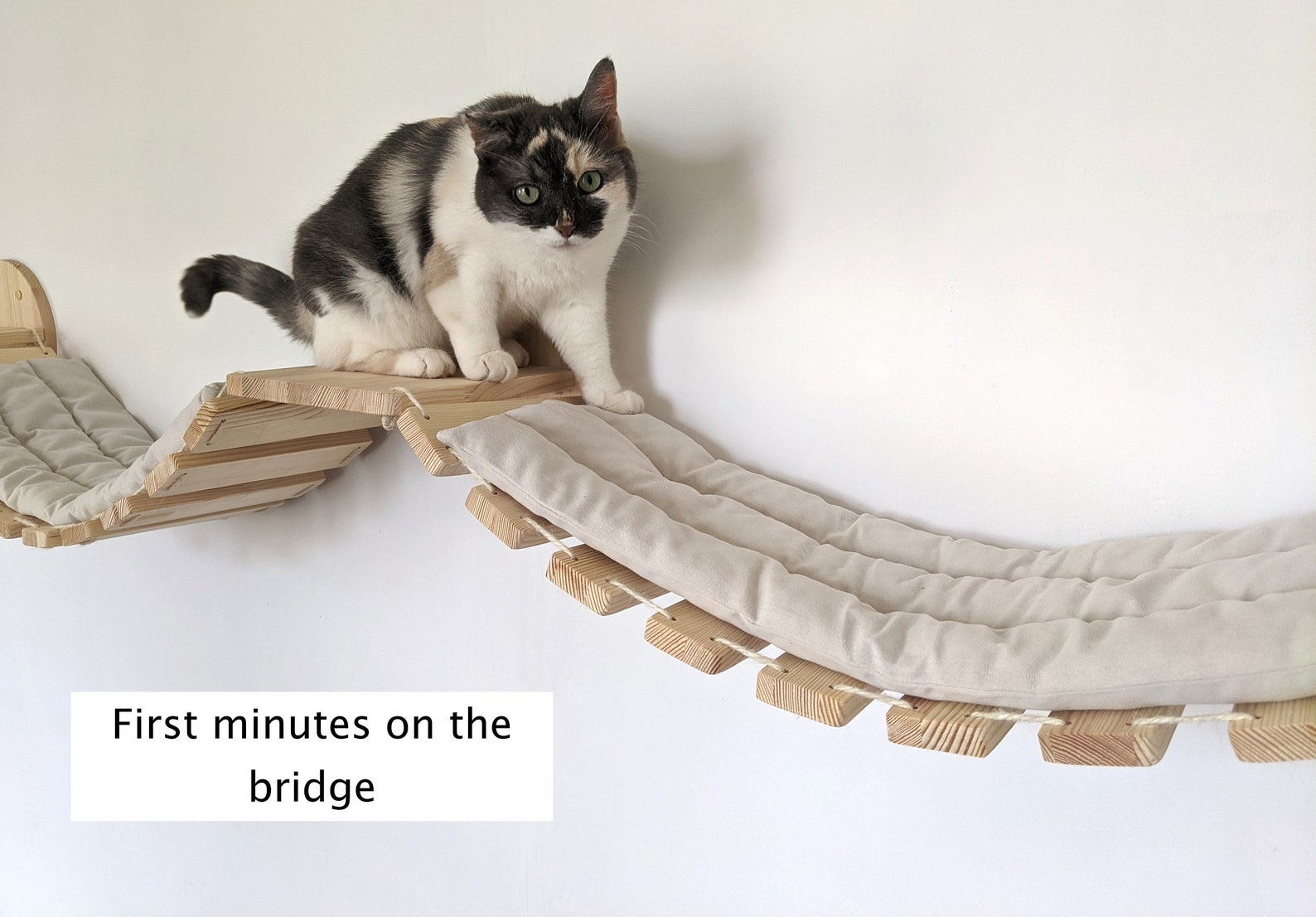 Double Cat Bridge From Pinewood, L Sized With or Without Pillow, Modern ...
