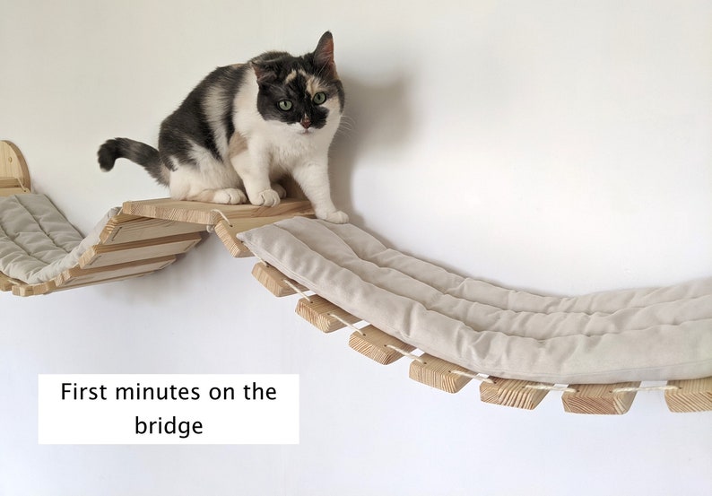 Double Cat Bridge From Pinewood, L Sized With or Without Pillow, Modern ...