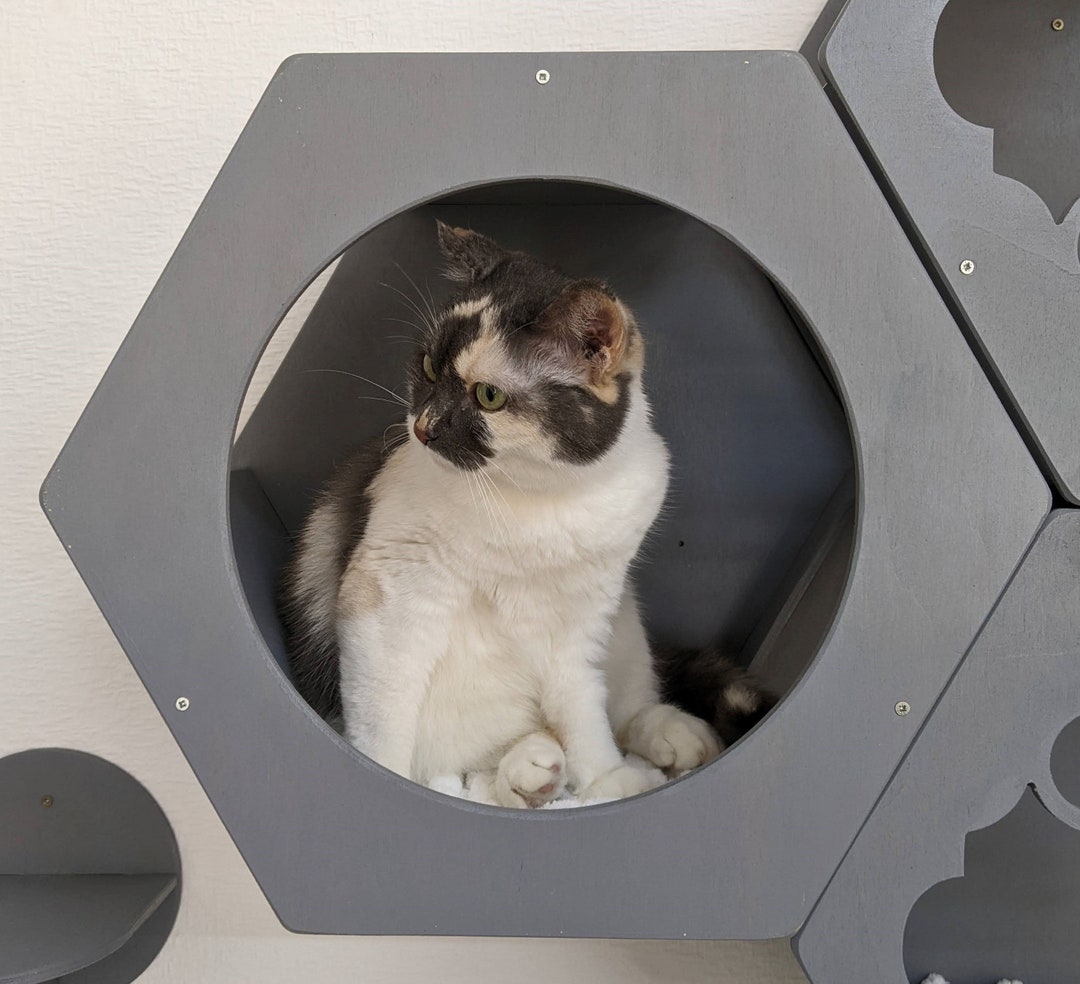Cat Hexagon Shelf, Cat Furniture Modern, Cat Wall Bed, Cat Playground ...
