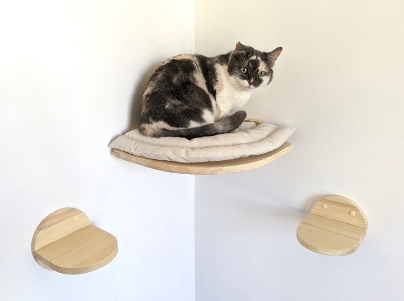 Corner Cat Shelf Bed From Pine Wood With Steps Wall Mounting - Etsy