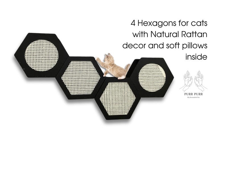 Pack of 4 Cat Hexagons With Rattan and Inside Pillows, Cat Wall ...