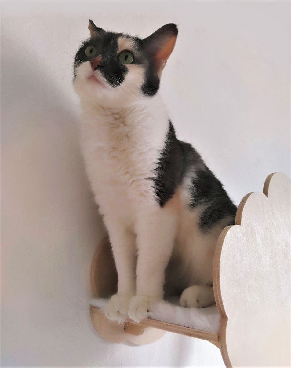 Modern Chunky Flying Cat Bed with White Fur Wall mounted cat | Etsy