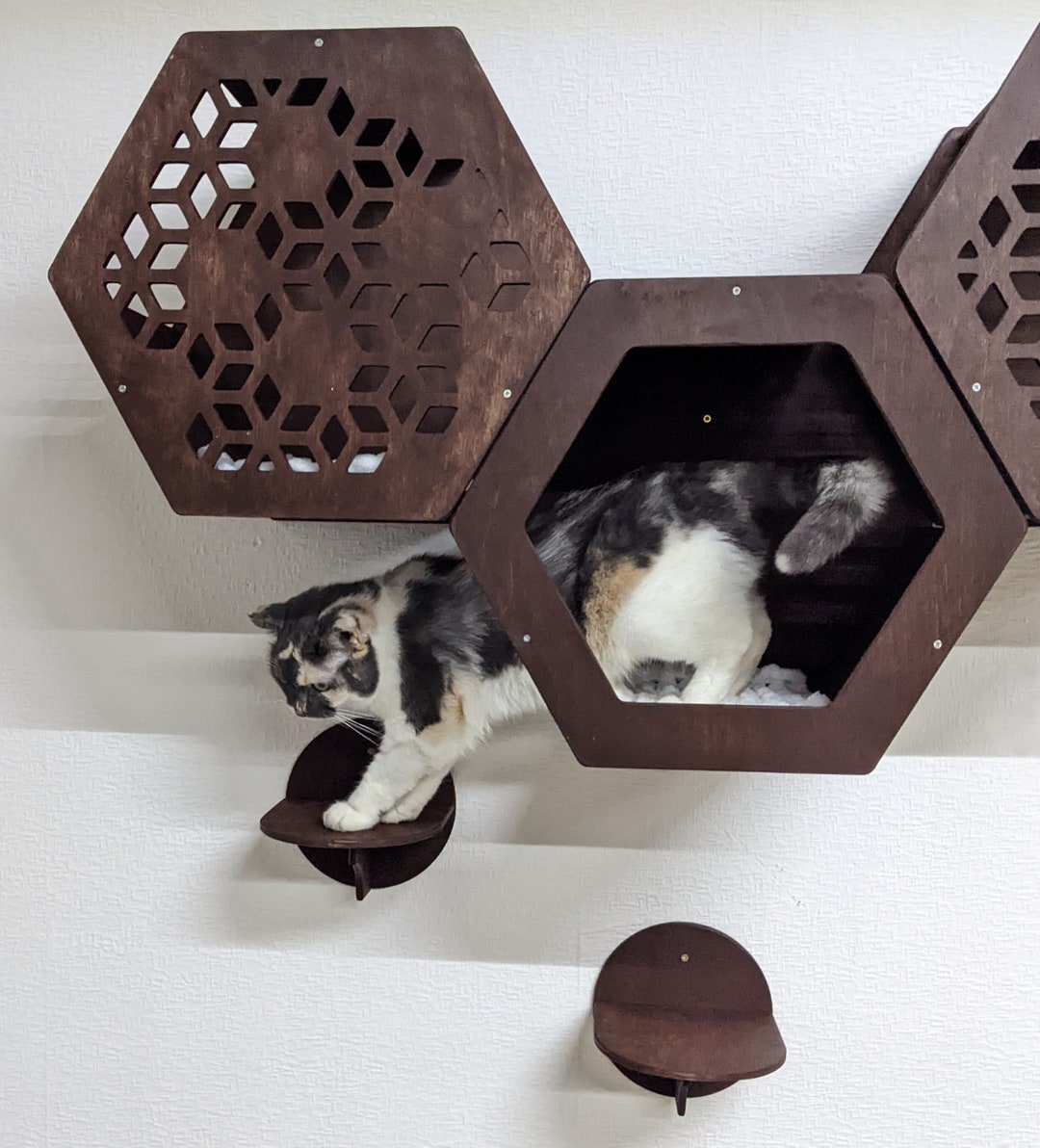 Cat Wall Shelves SET, Cat Wall Furniture SET, Floating Cat Shelf, Cat ...