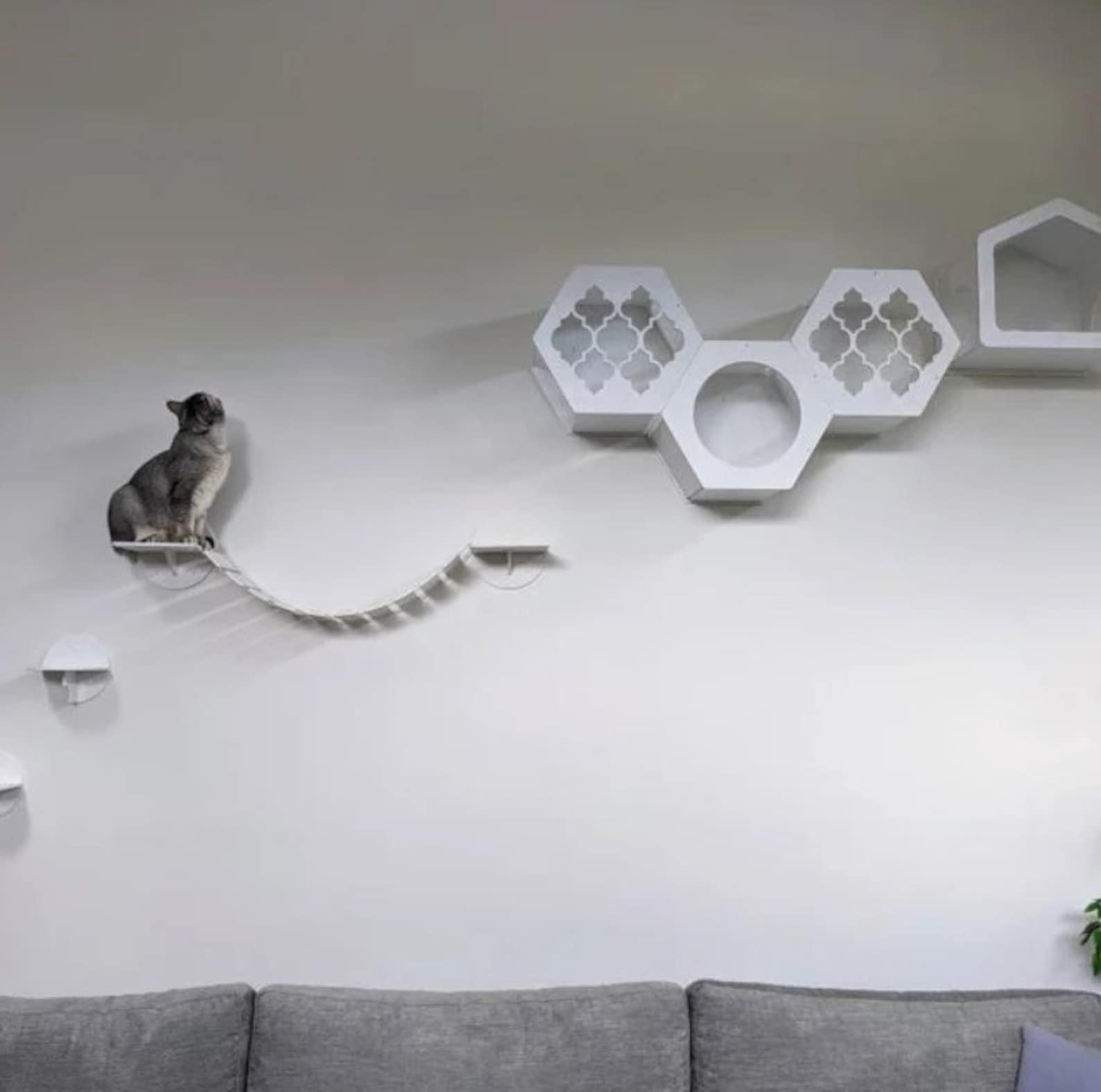 Perfect Set for Cats, Cat Wall Furniture Set 8 Items, Wall Cat Bed ...