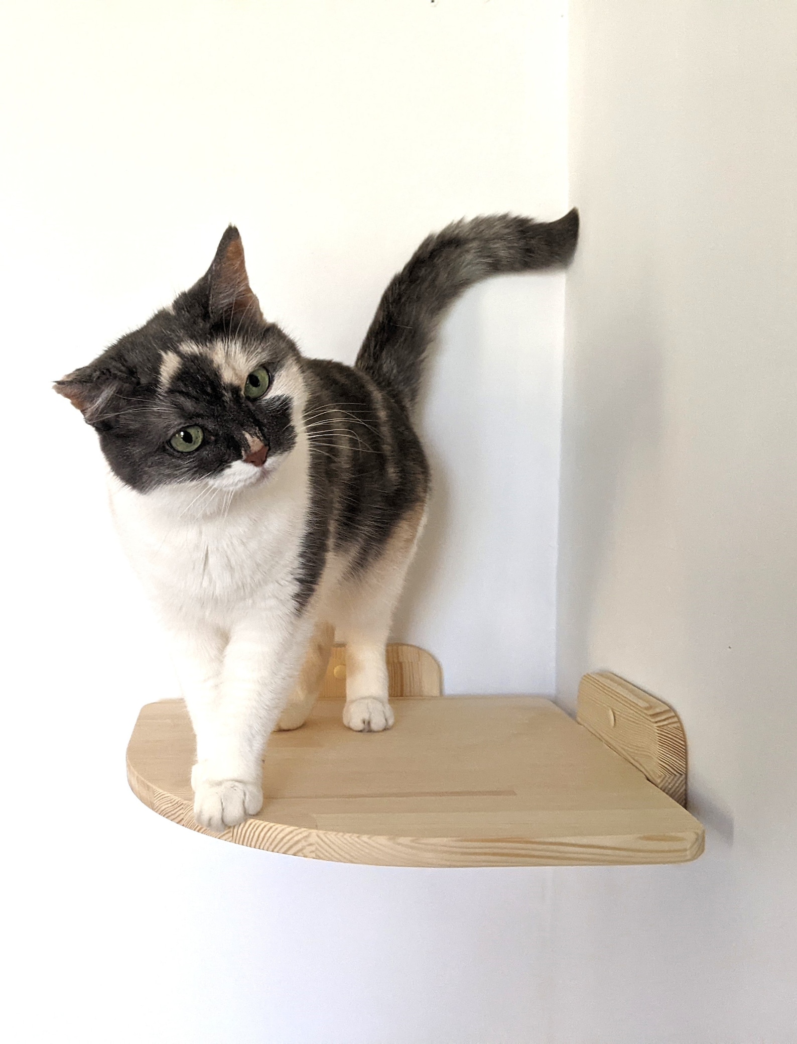 Corner Cat Shelf Bed From Pine Wood With Steps, Wall Mounting Corner ...
