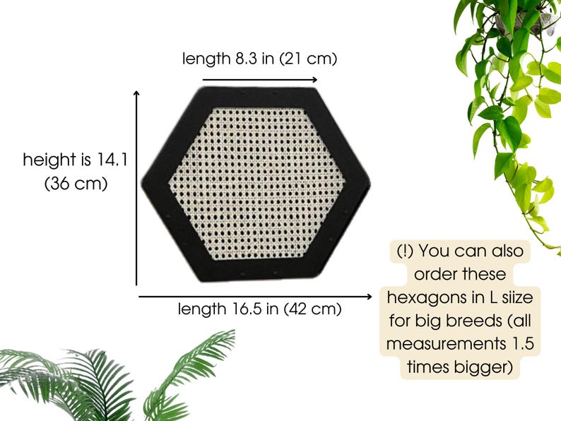 Pack of 4 Cat Hexagons With Rattan and Inside Pillows, Cat Wall ...