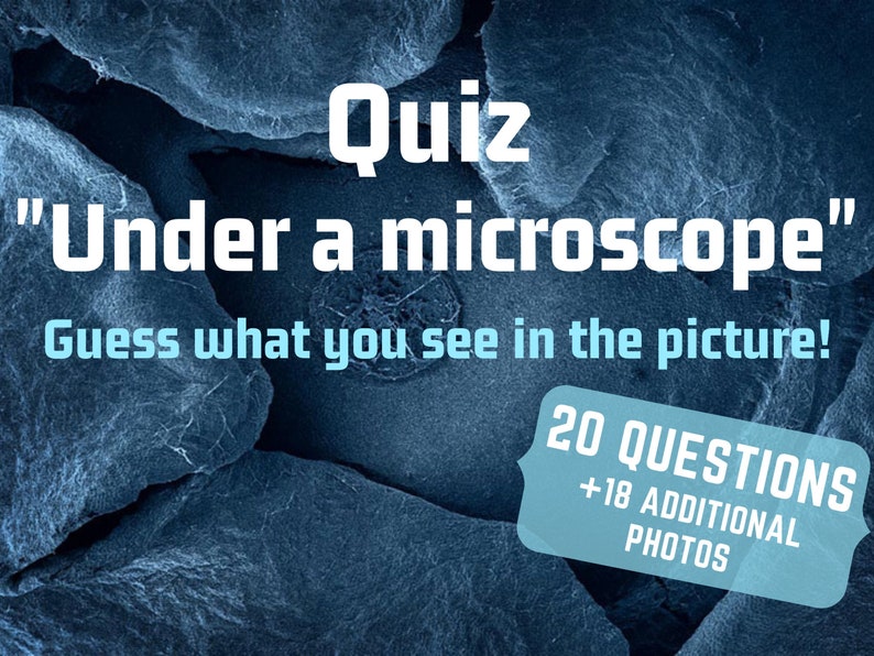 Quiz under a Microscope Can You Guess What's in the Picture / Perfect ...