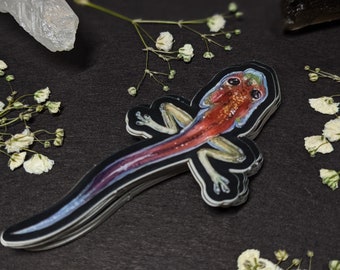 Tadpole Sticker - Etsy