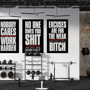 Home Gym Poster Set of 3 - Fitness Training Wall Art - Nobody Cares No ...