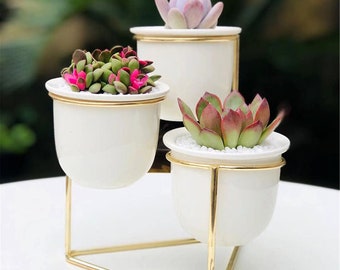 Flower Pot Frame | Etsy