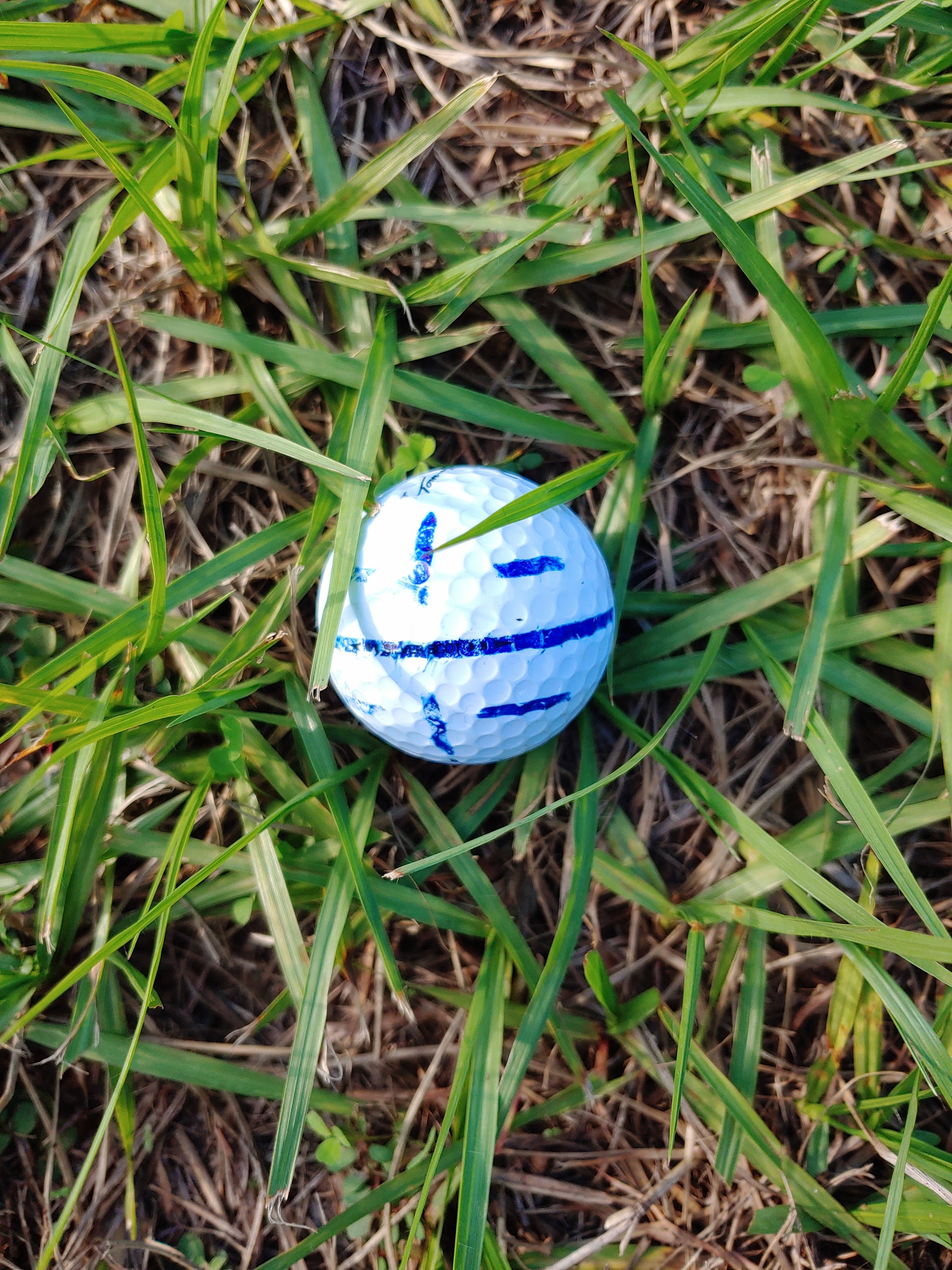Good Luck Golf Balls