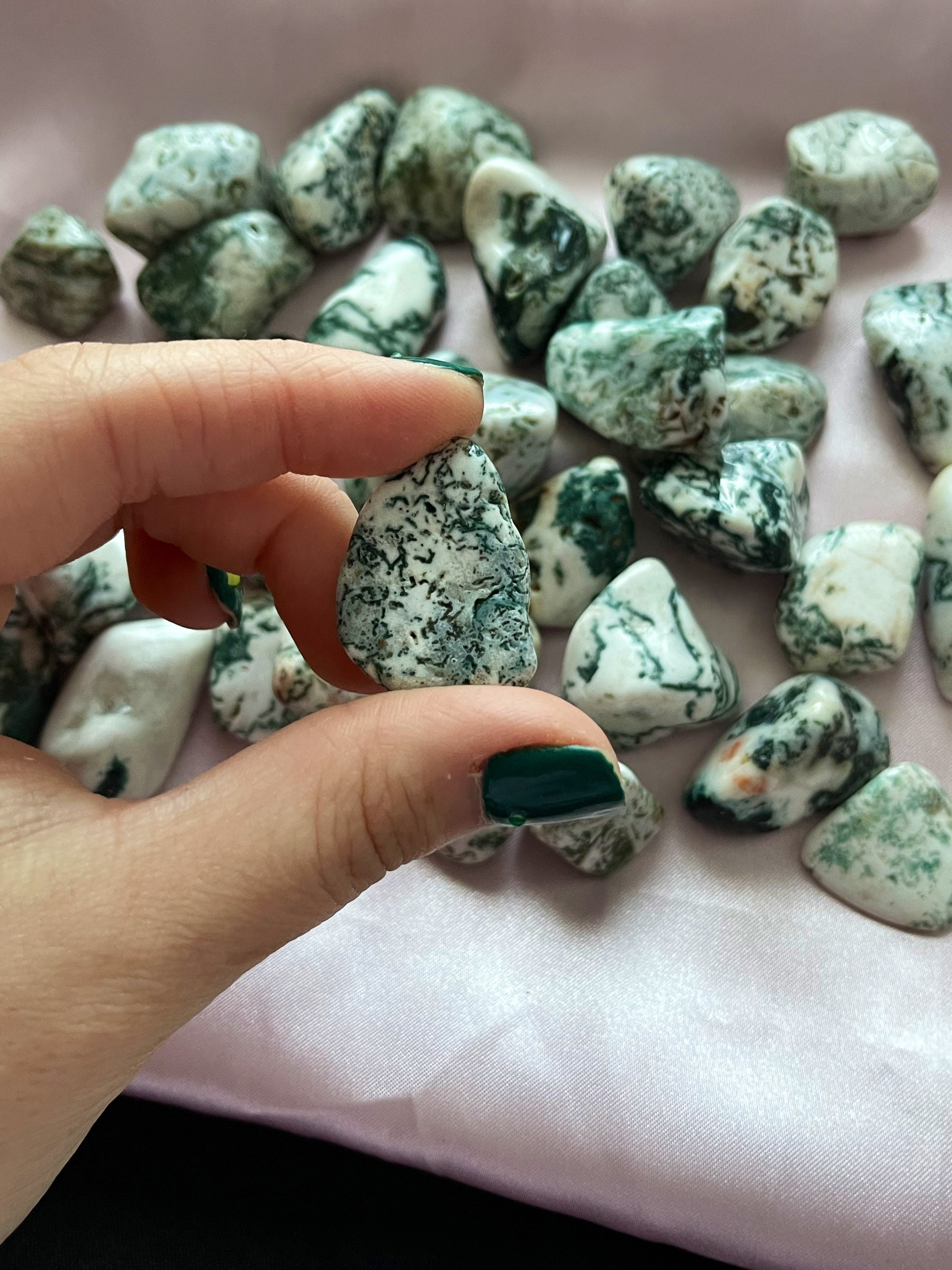 Tumbled Tree Agate - Etsy