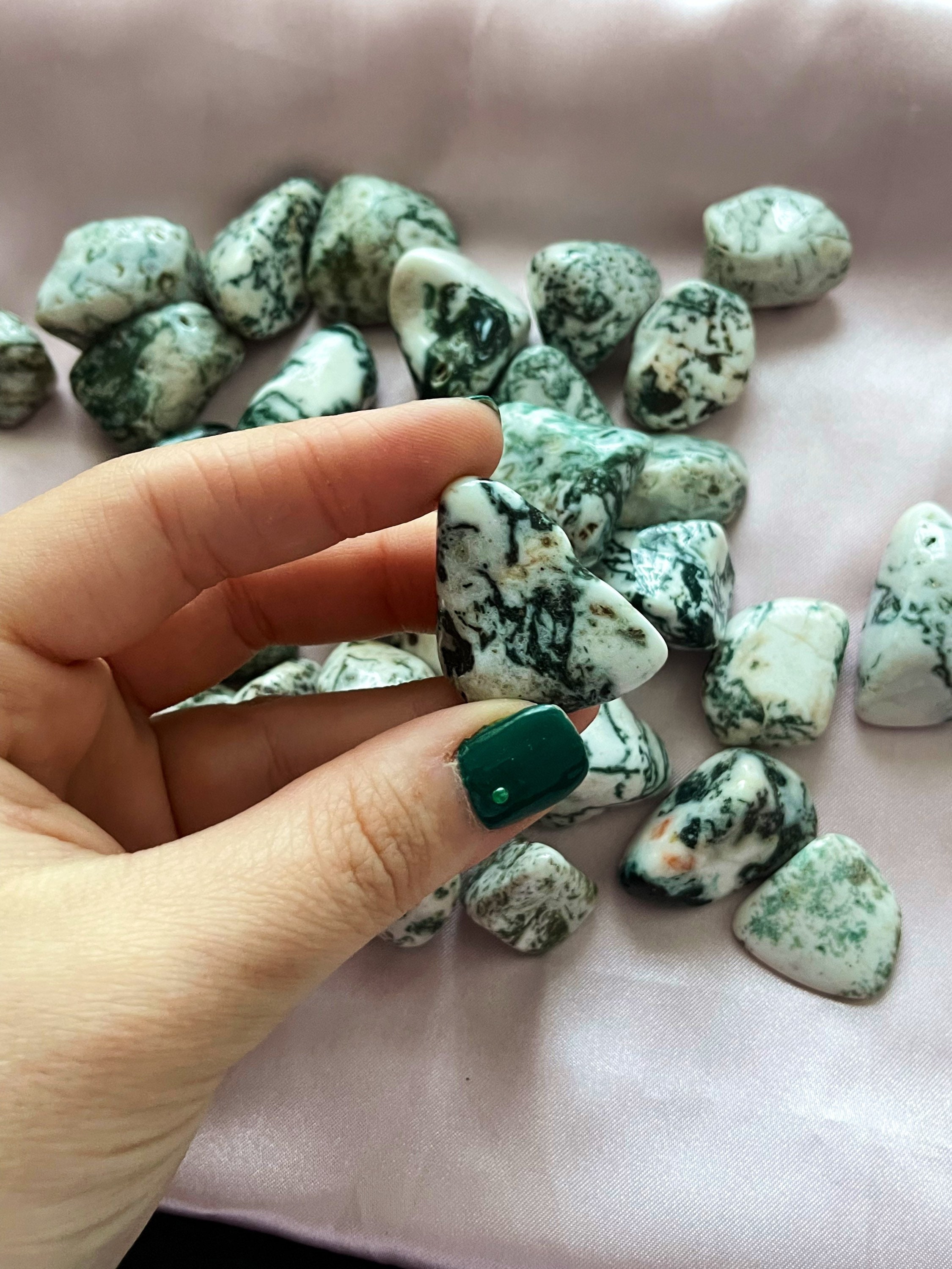 Tumbled Tree Agate - Etsy