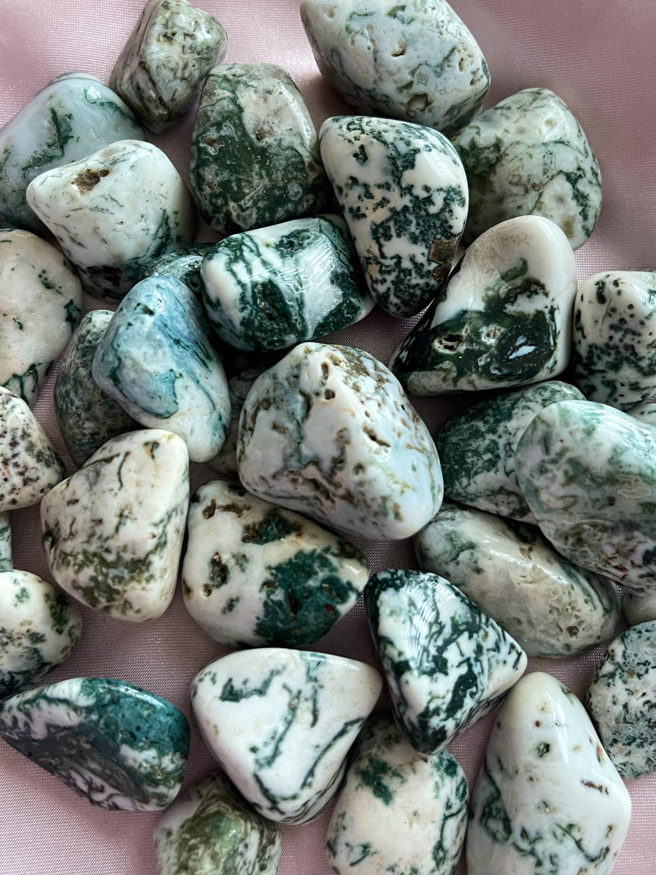 Tumbled Tree Agate - Etsy