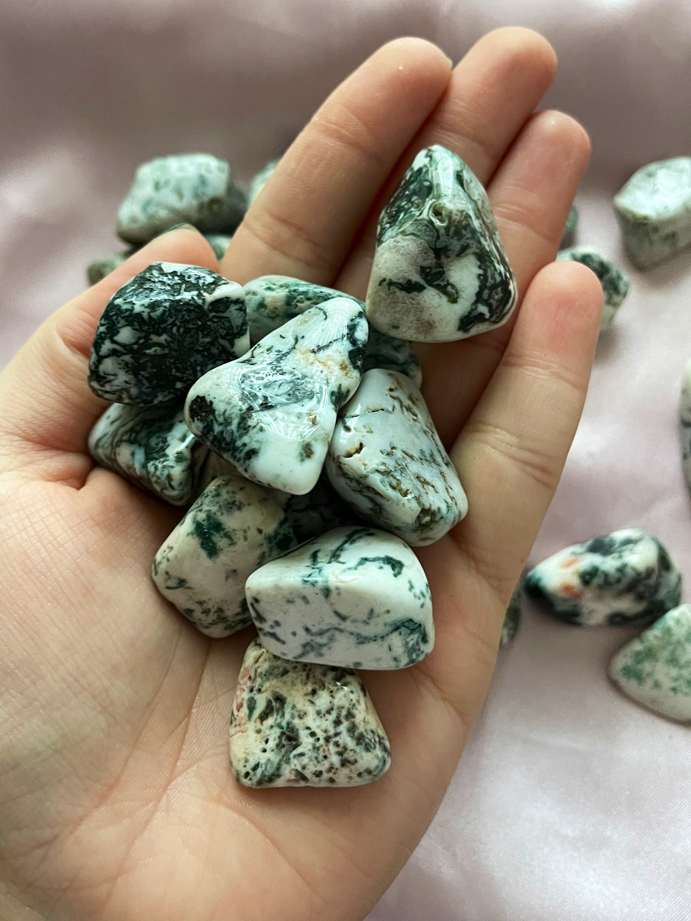 Tumbled Tree Agate - Etsy