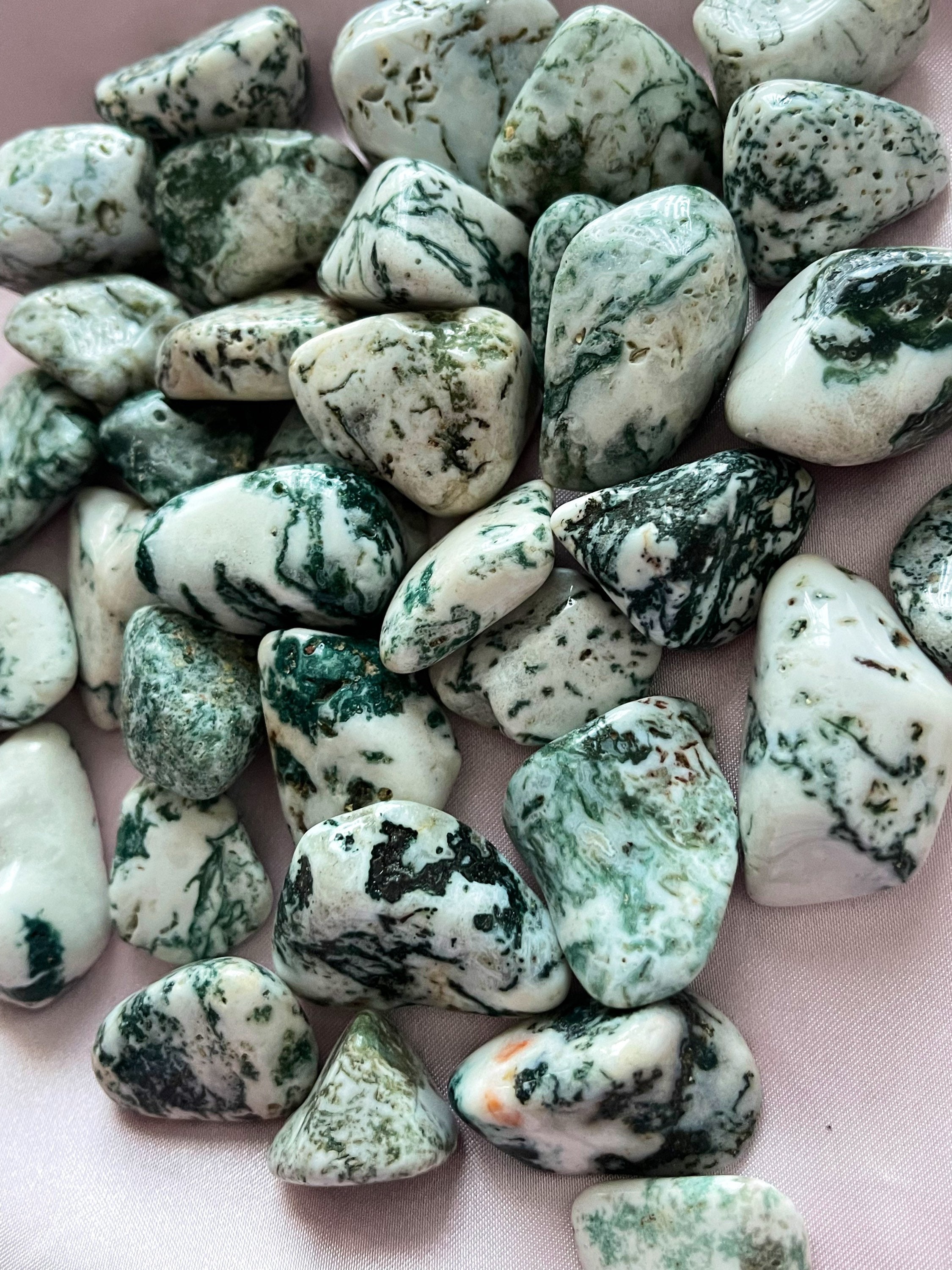 Tumbled Tree Agate - Etsy