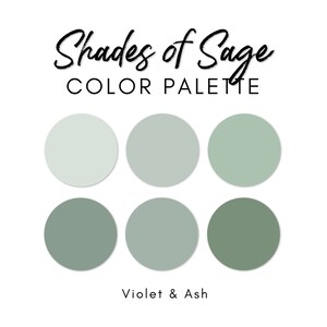 Sage Procreate Palette Color Chart Photoshop Ipad | Etsy