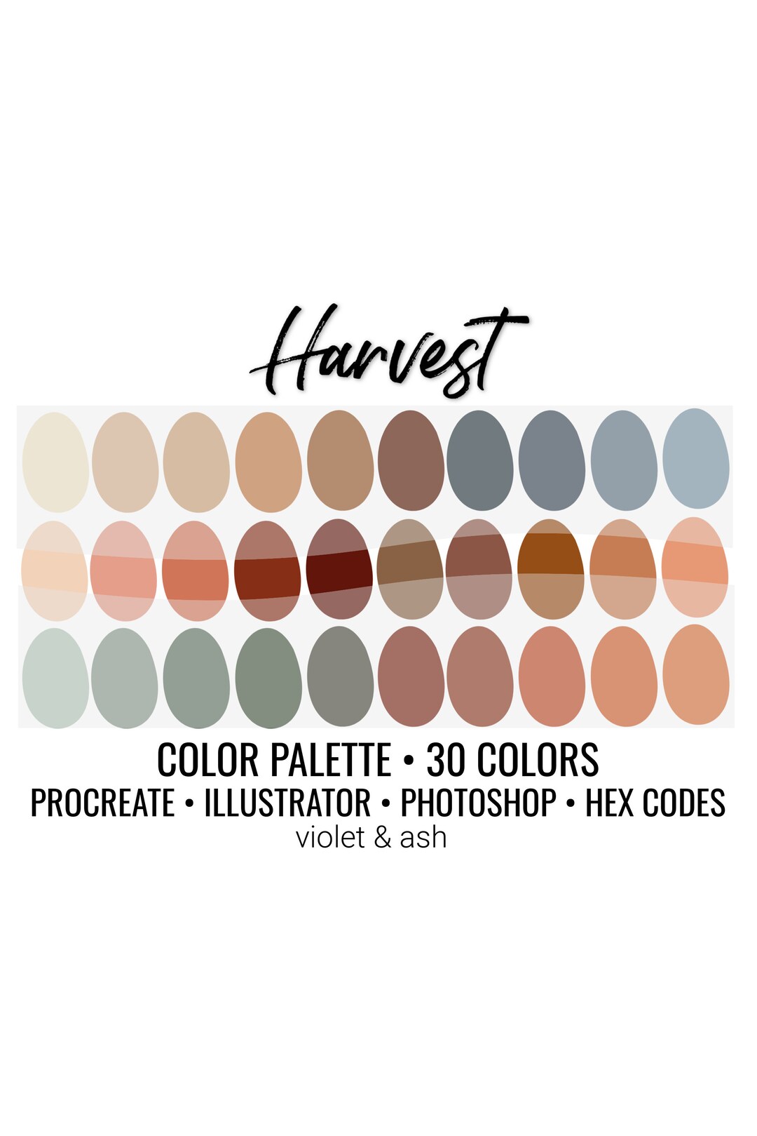 Harvest Procreate Palette Color Chart Photoshop Ipad - Etsy
